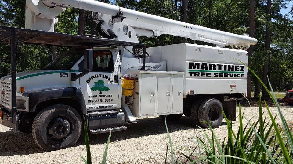 Tree Service in Huntsville, TX | Martinez Tree Service