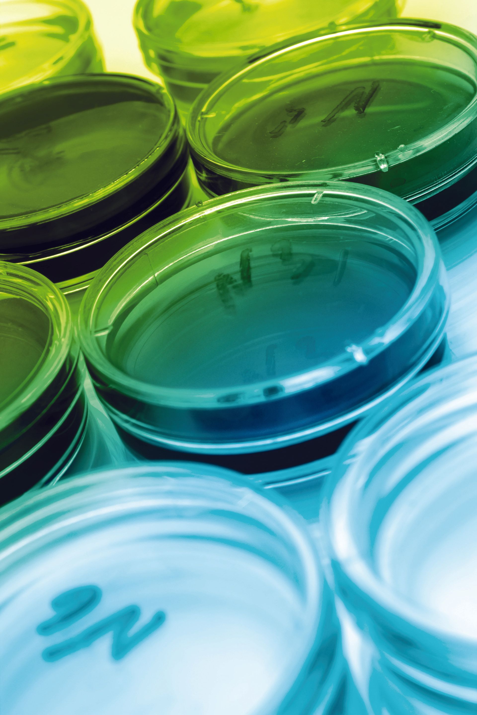 Howard Walter Florey