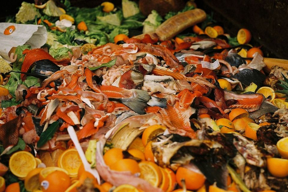 Food waste to fuel Australia's first sustainable food city
