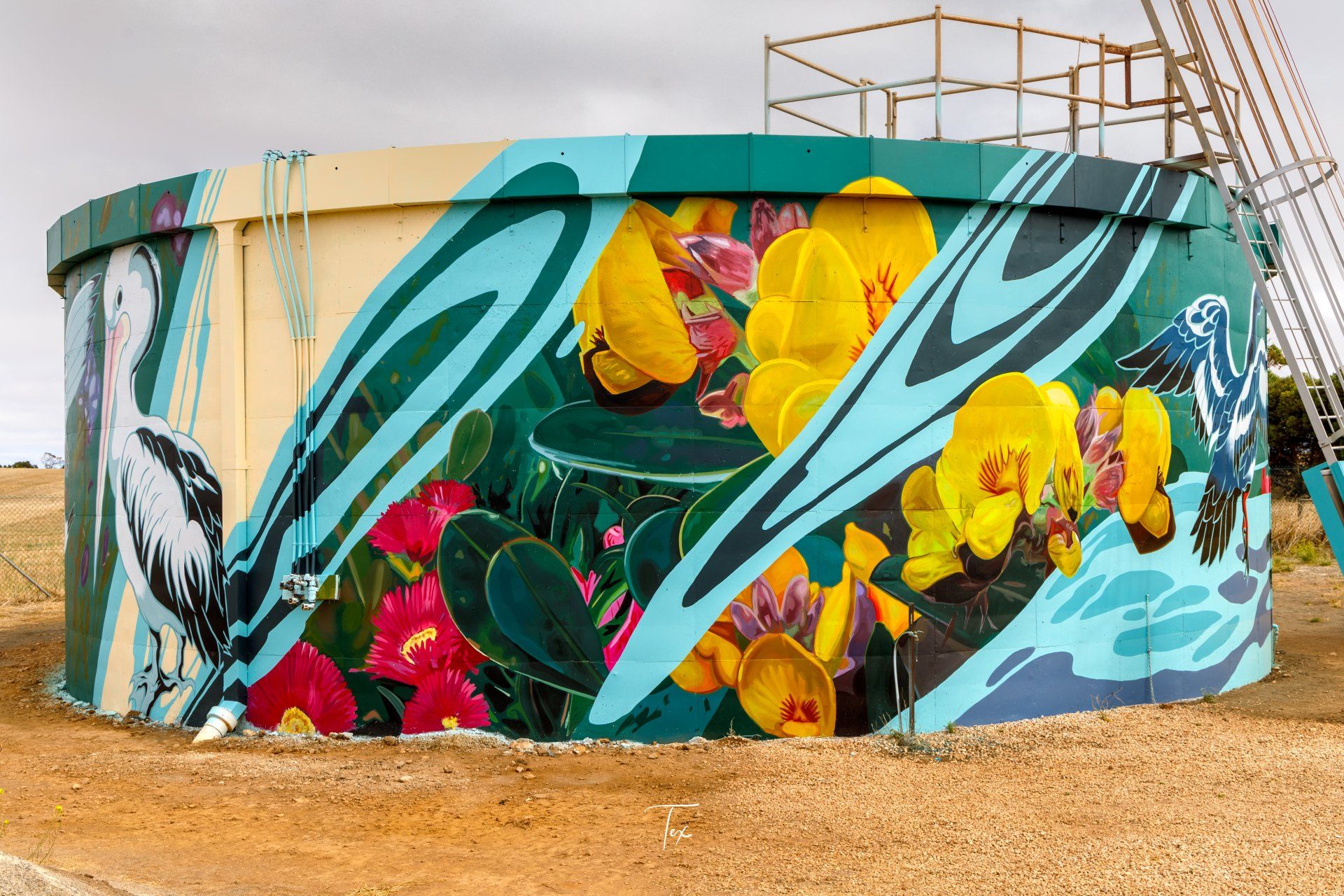 Coobowie Water Tank Art