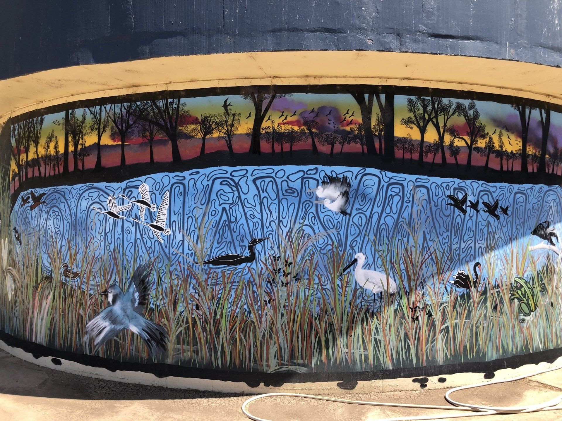 Goondiwindi Water Tank Art