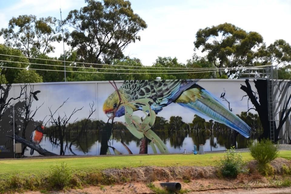 Kyabram Water Tank Art