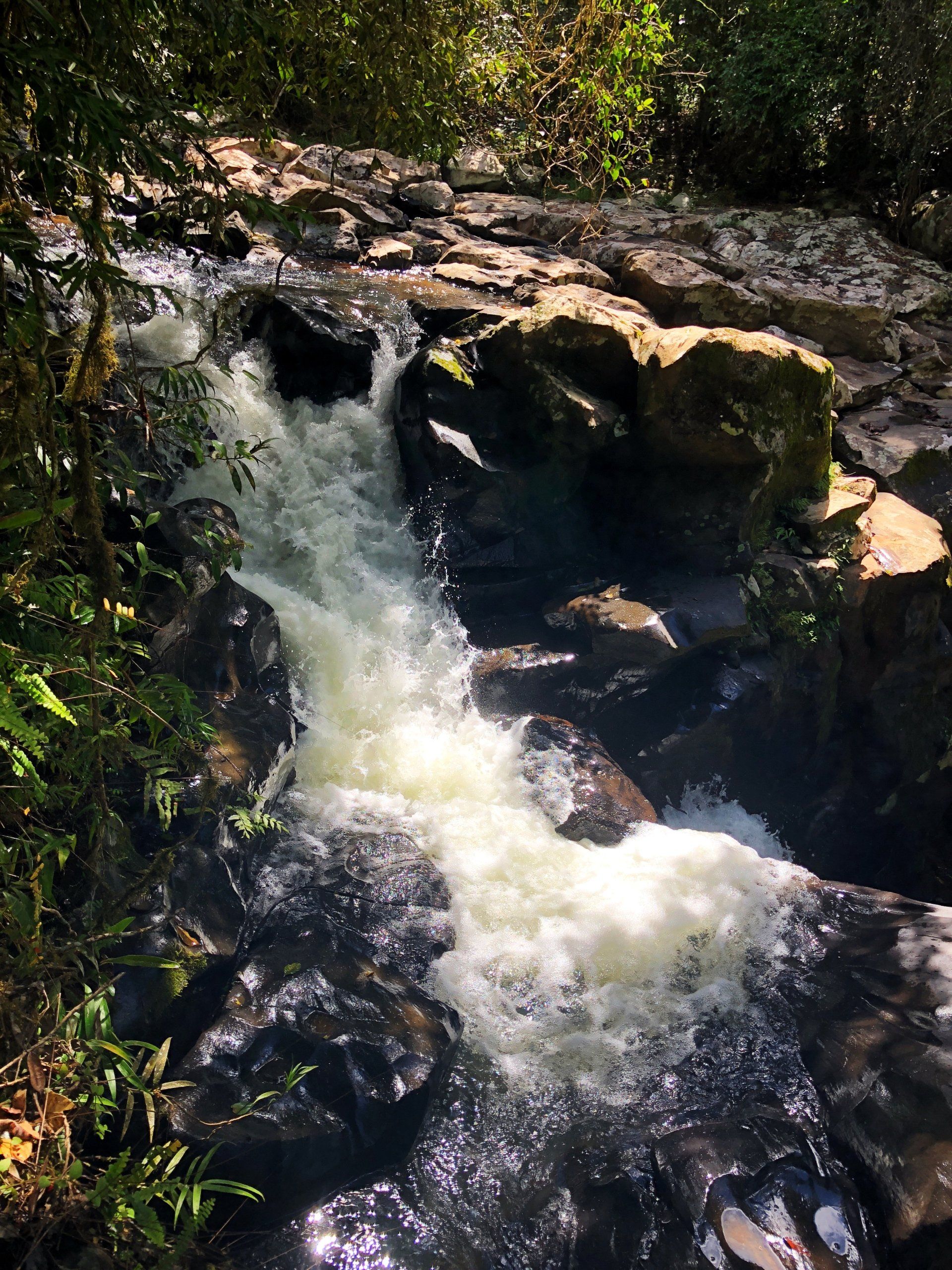 8 Queensland Waterfalls in 8 hours