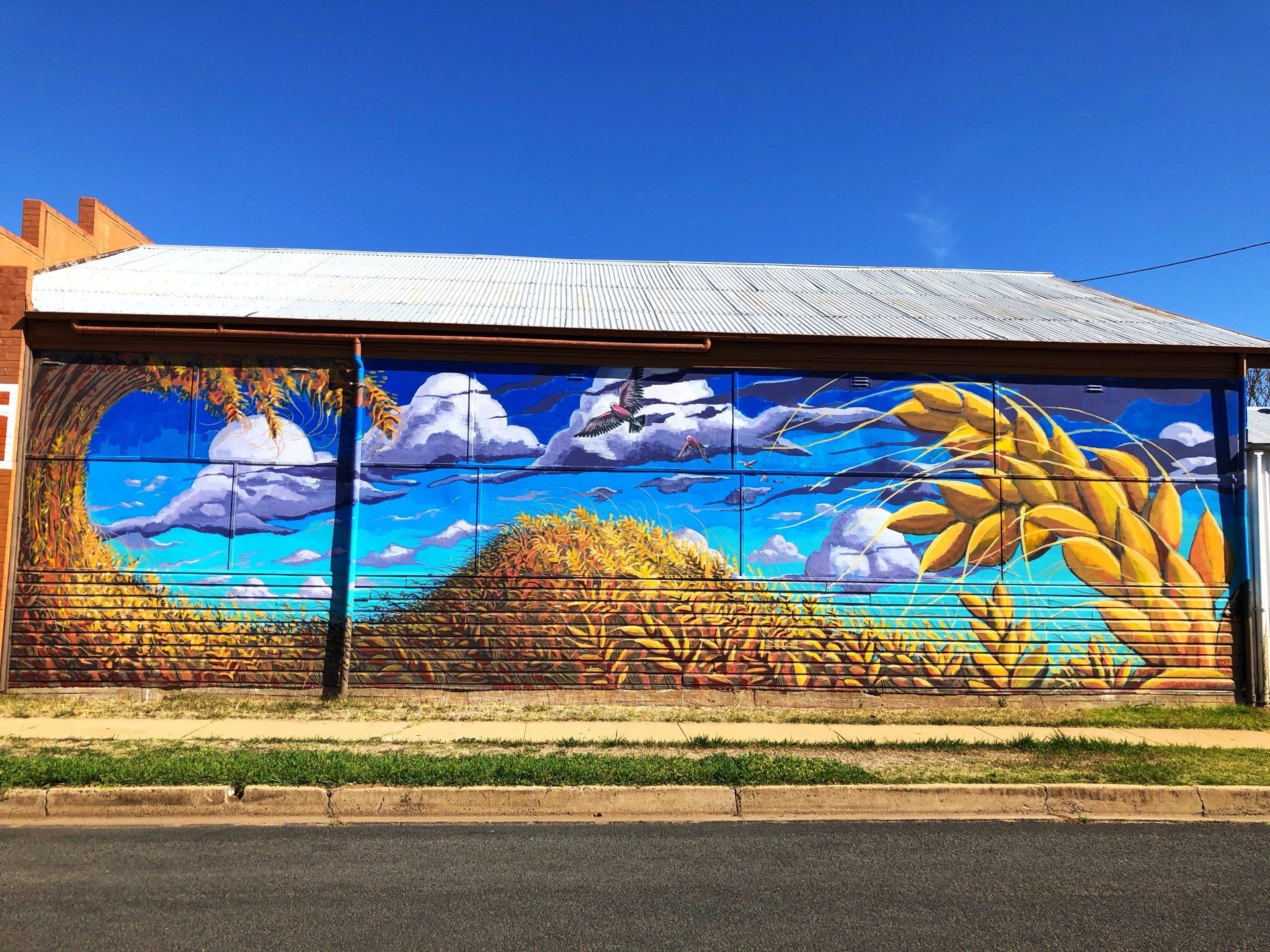 New South Wales Silo Art Trail