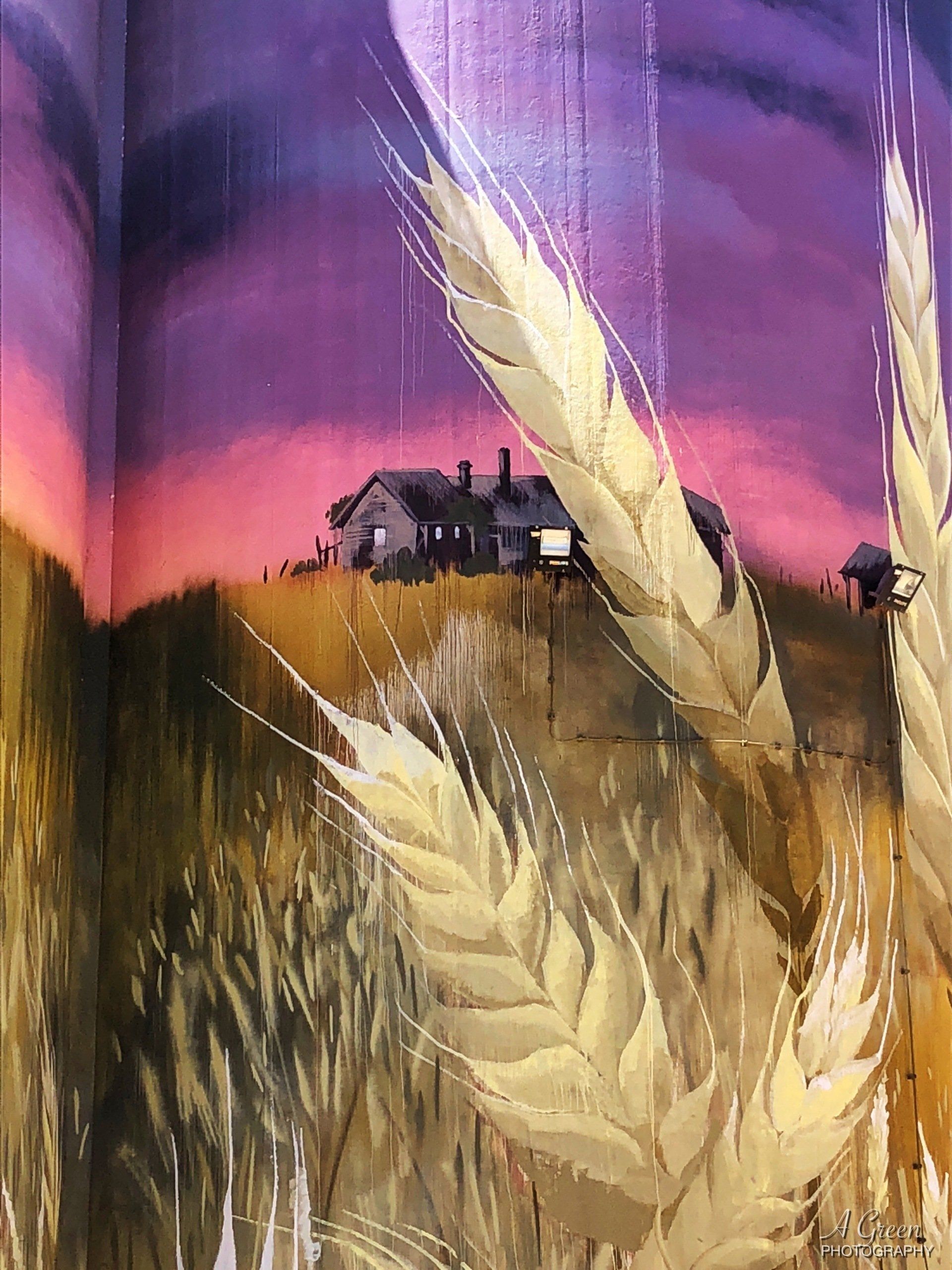 Kimba Silo Art