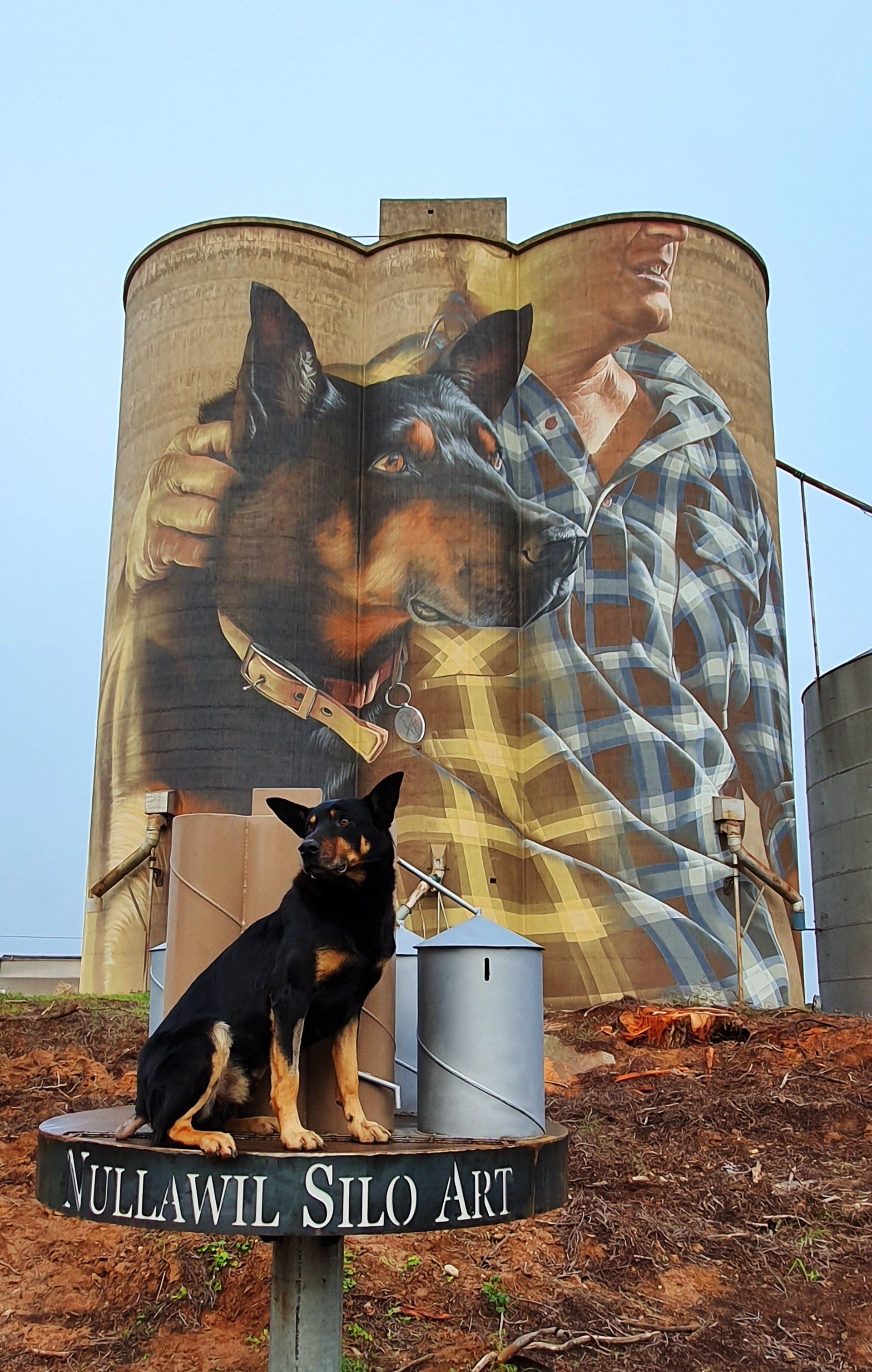 Nullawil Silo Art