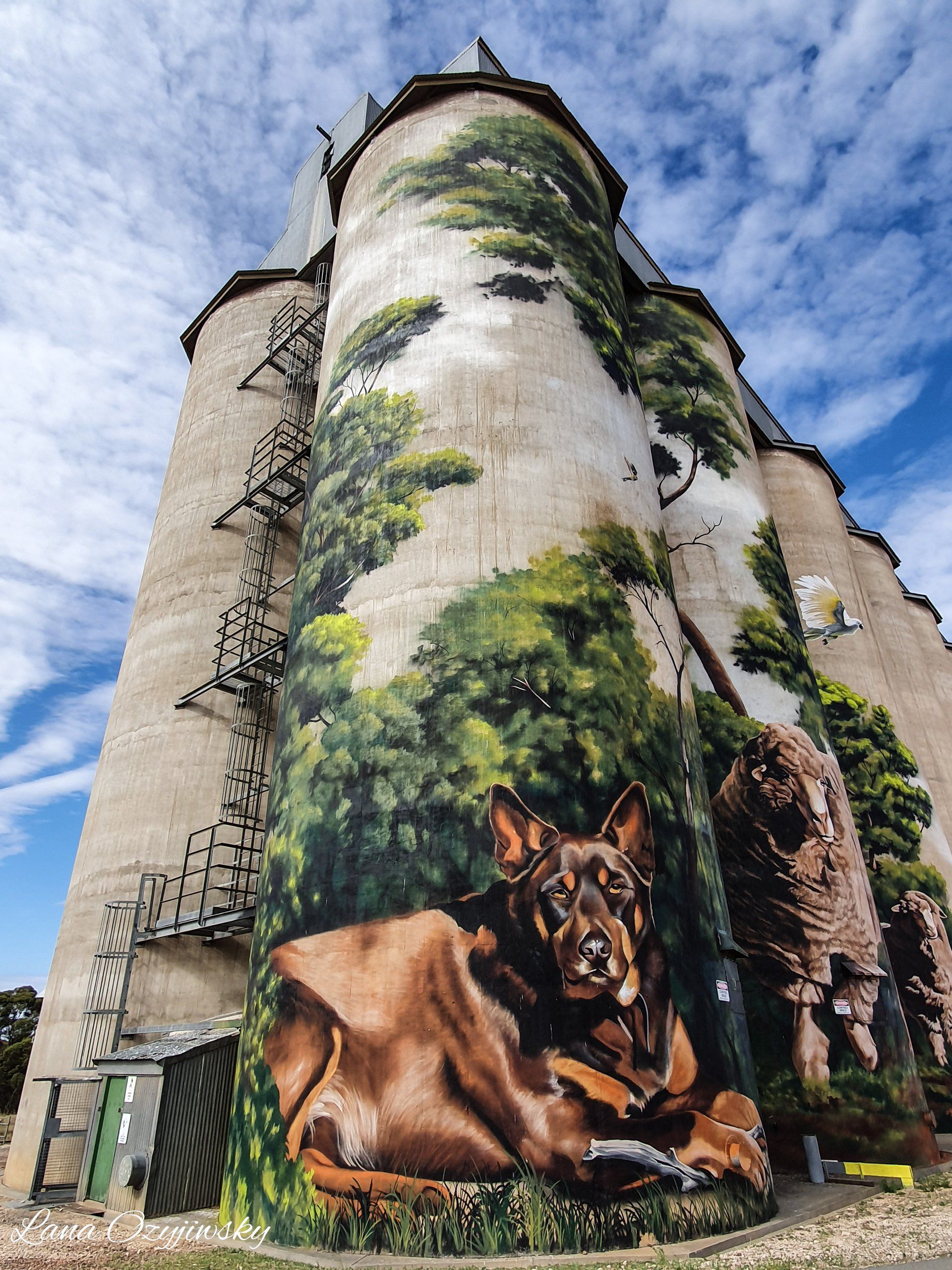 Australian Silo Art Trail