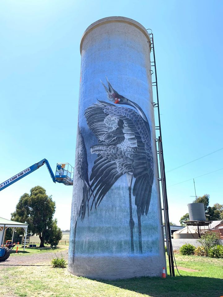 Lismore Water Tower Art