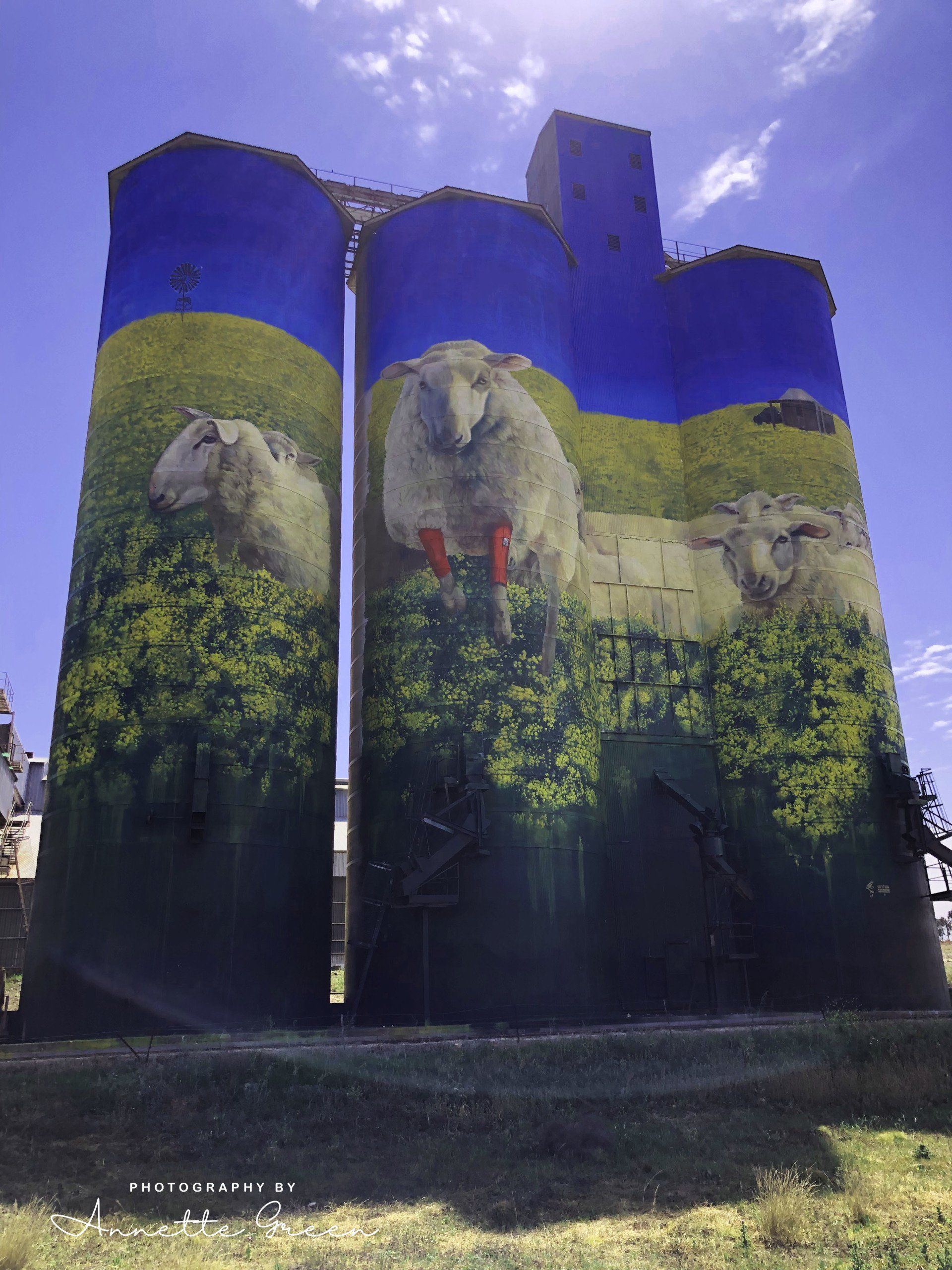 Merriwa Silo Art