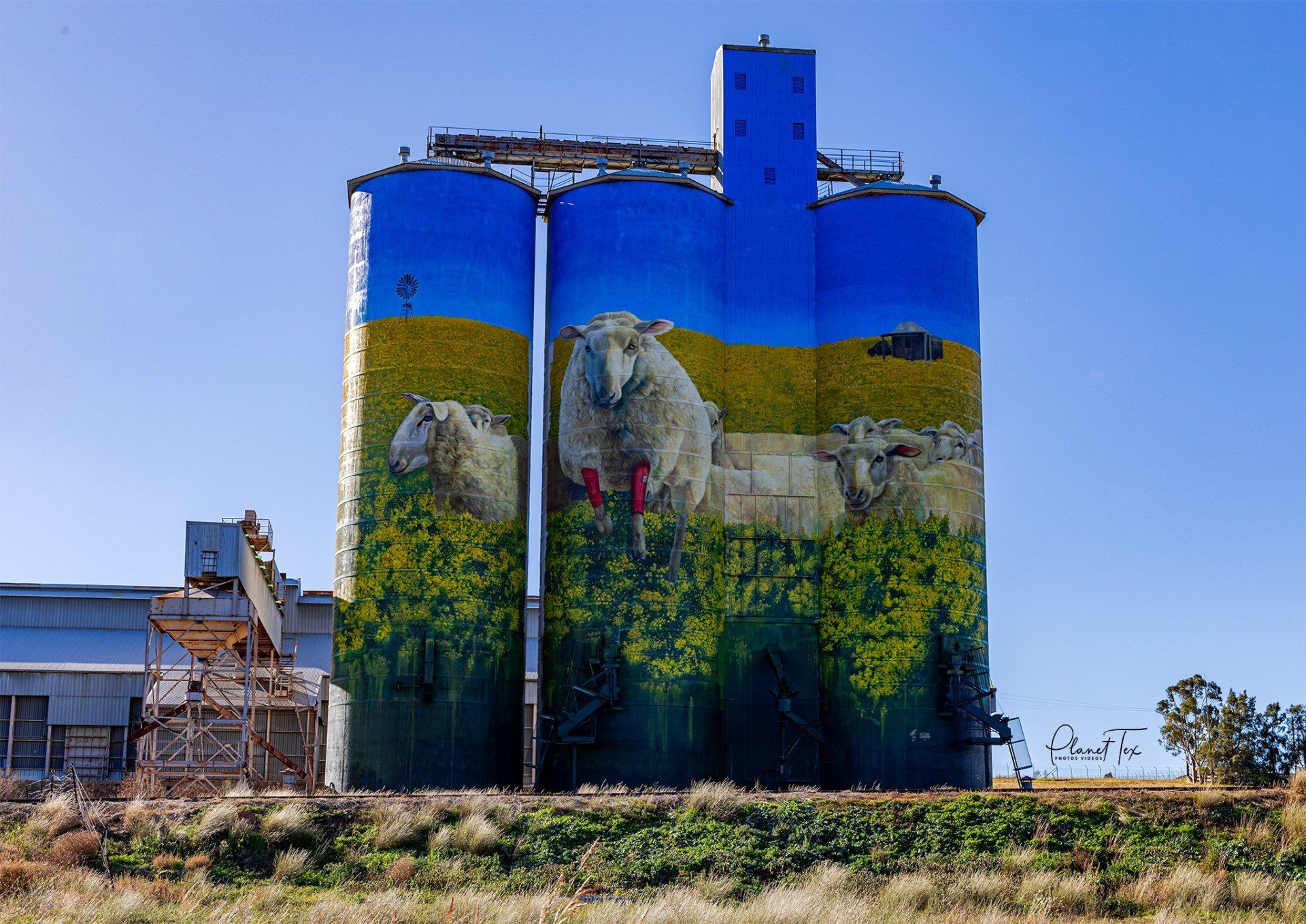 Australian Silo Art Trail