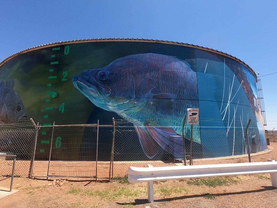 Mount Isa Water Tank Art