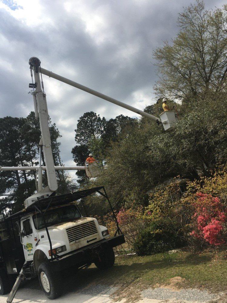 Commercial & Residential Tree Trimming | Tree Care Service | Tree Removal