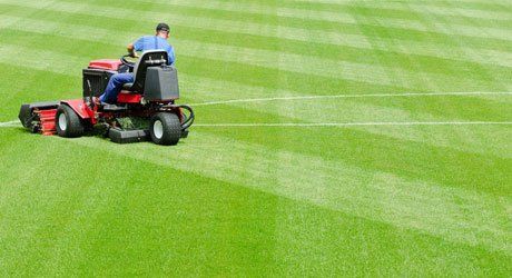 School ground maintenance experts at Surrey Sports Turf