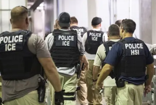 ICE HSI - Homeland Security Investigations