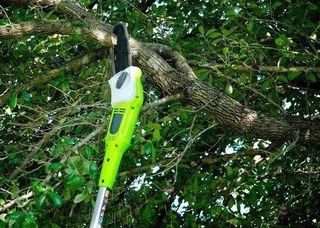 Tree Service | Albany, Saratoga Springs, Schenectady, Clifton Park ...