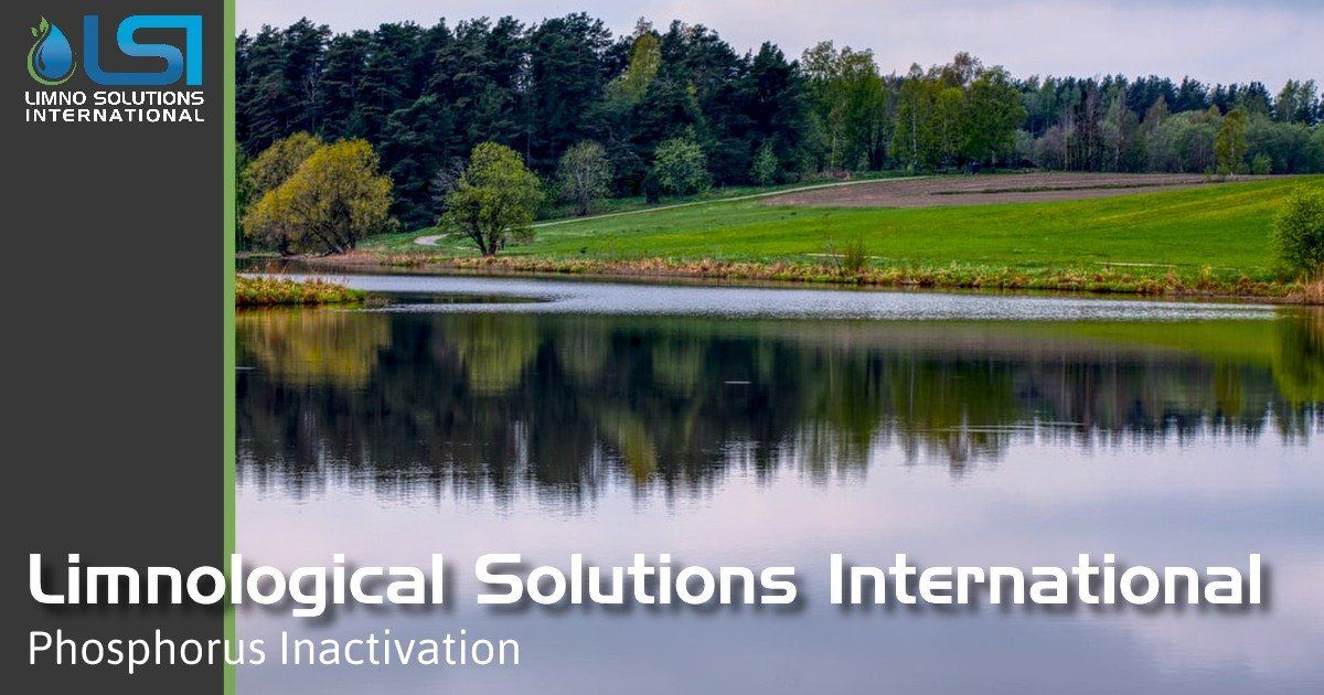 LSI | Phosphorus Inactivation