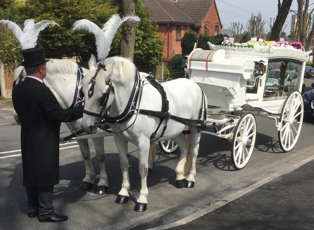 Cinderella carriage - Staffordshire Carriages