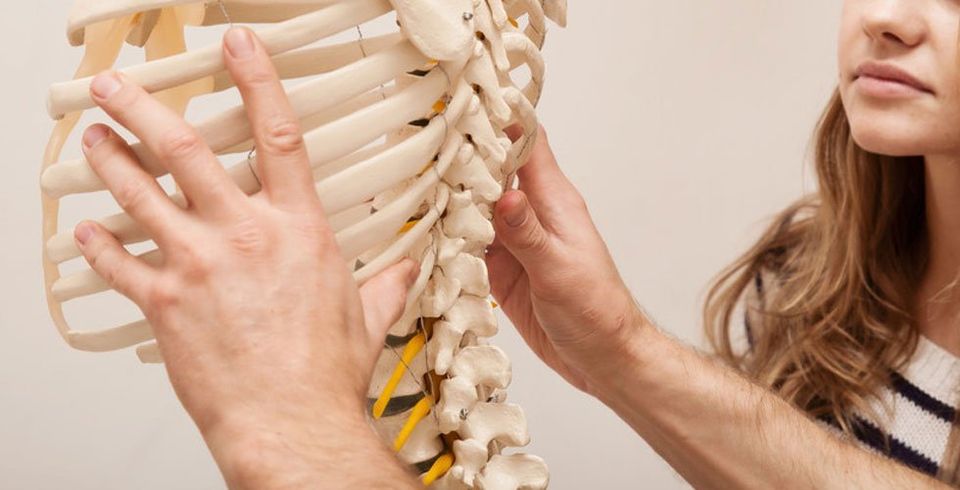 Bulging Discs | Thornton Osteopathic Clinic Ltd