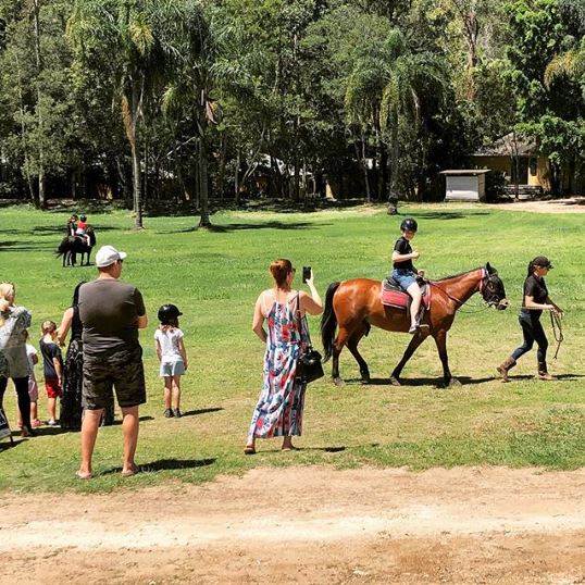 TreeTop Challenge & High Ropes for Juniors | Tamborine Mountain, QLD