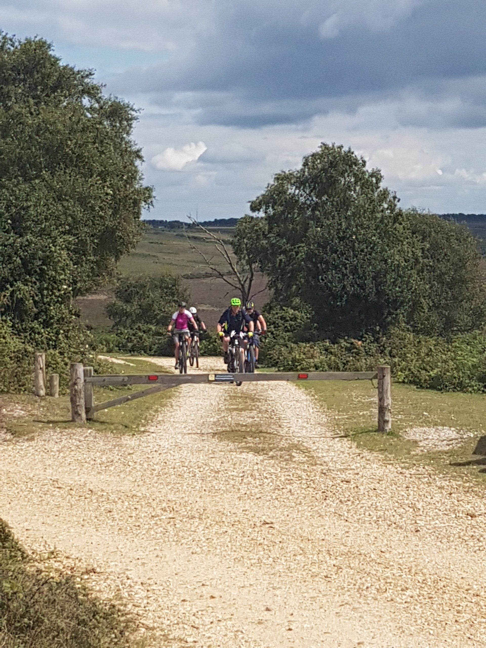 New Forest Mountain Biking Guided Rides and Improvers Skills