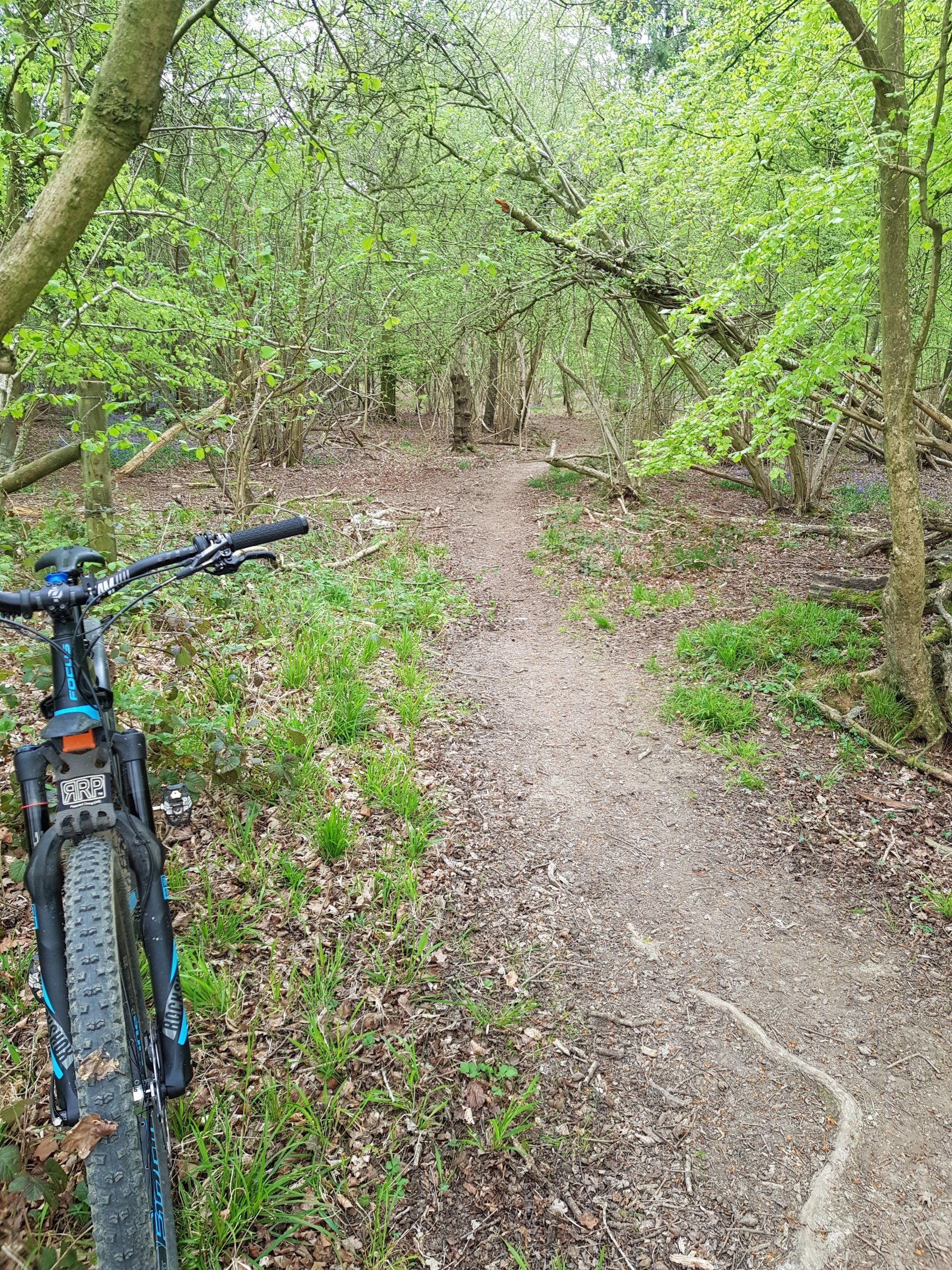 Mountain Bike New Forest Mountain Biking Routes