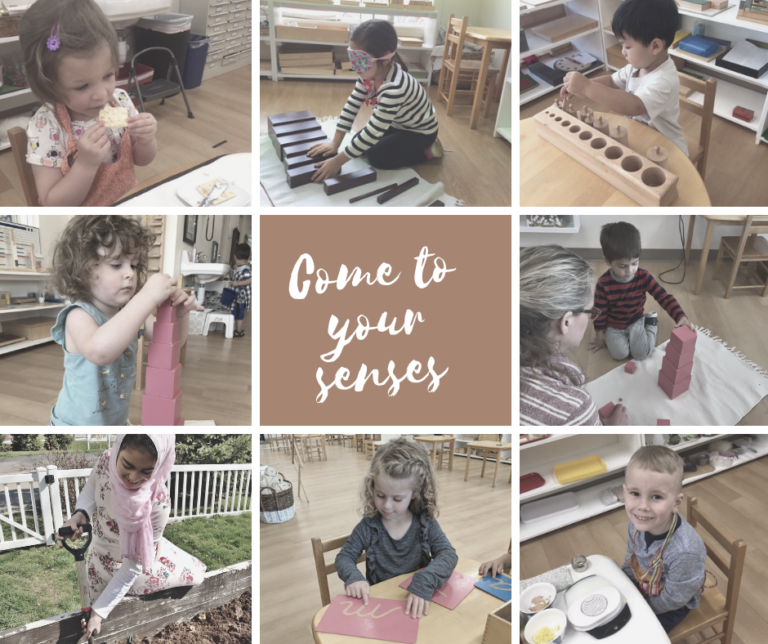 5 Ways Montessori Appeals to the Senses