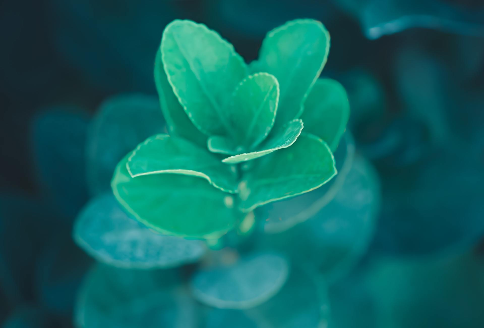 Walker & Armstrong CPAs | Tax & Audit | Phoenix-Tucson