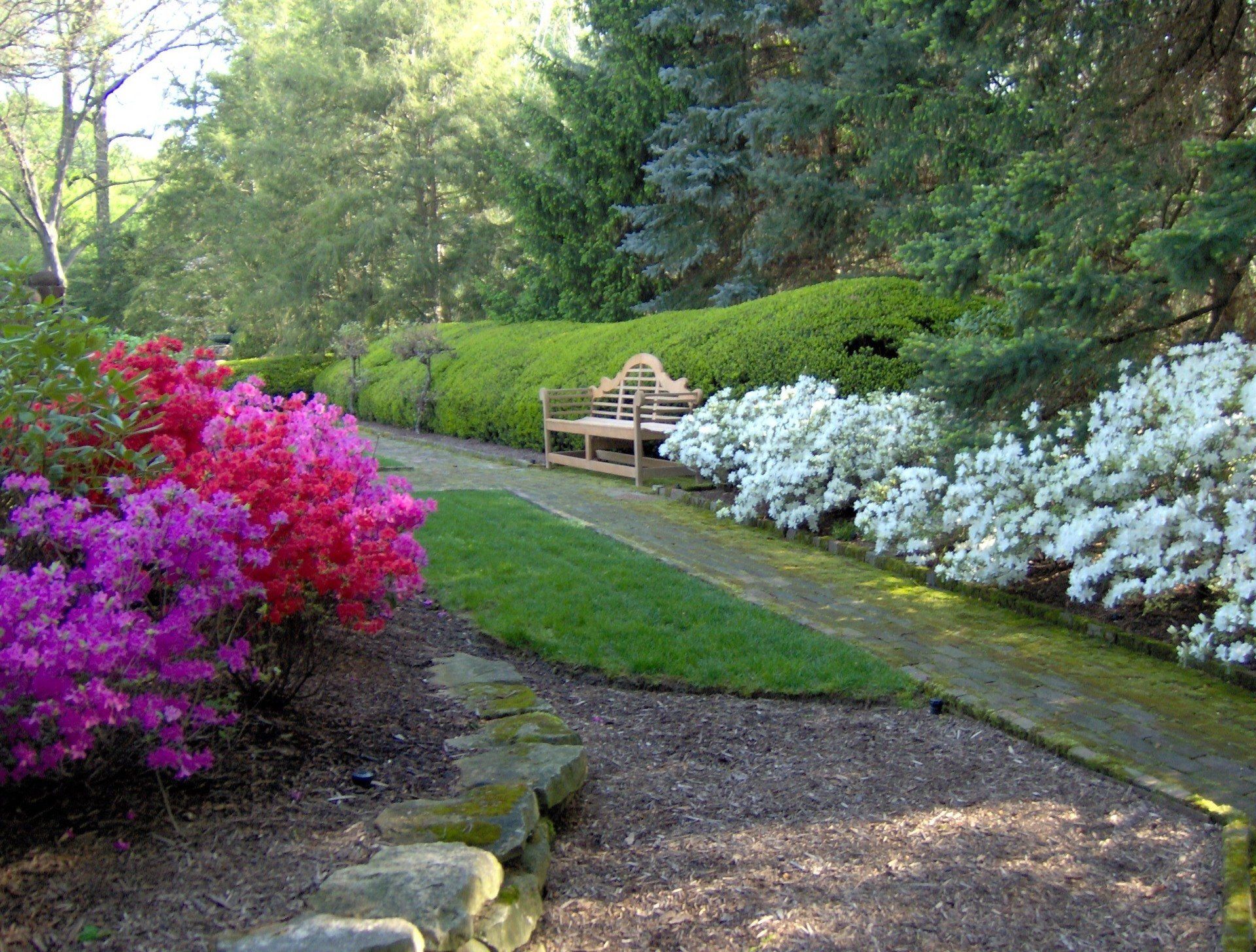 LML Estate Management