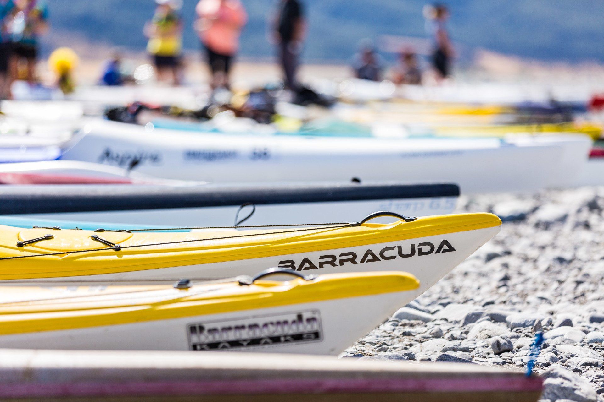 Coast To Coast | Race Across New Zealand | Kathmandu | Handbooks