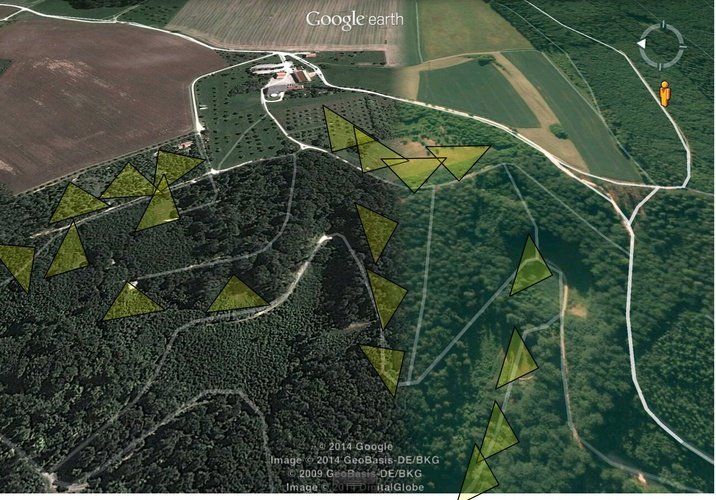 Der Dornsberg, Deutschlands größter