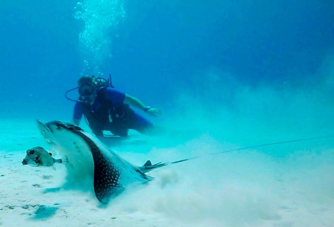 Duikschool Bonaire,Private Divers Bonaire,Duikspullen huren op Bonaire