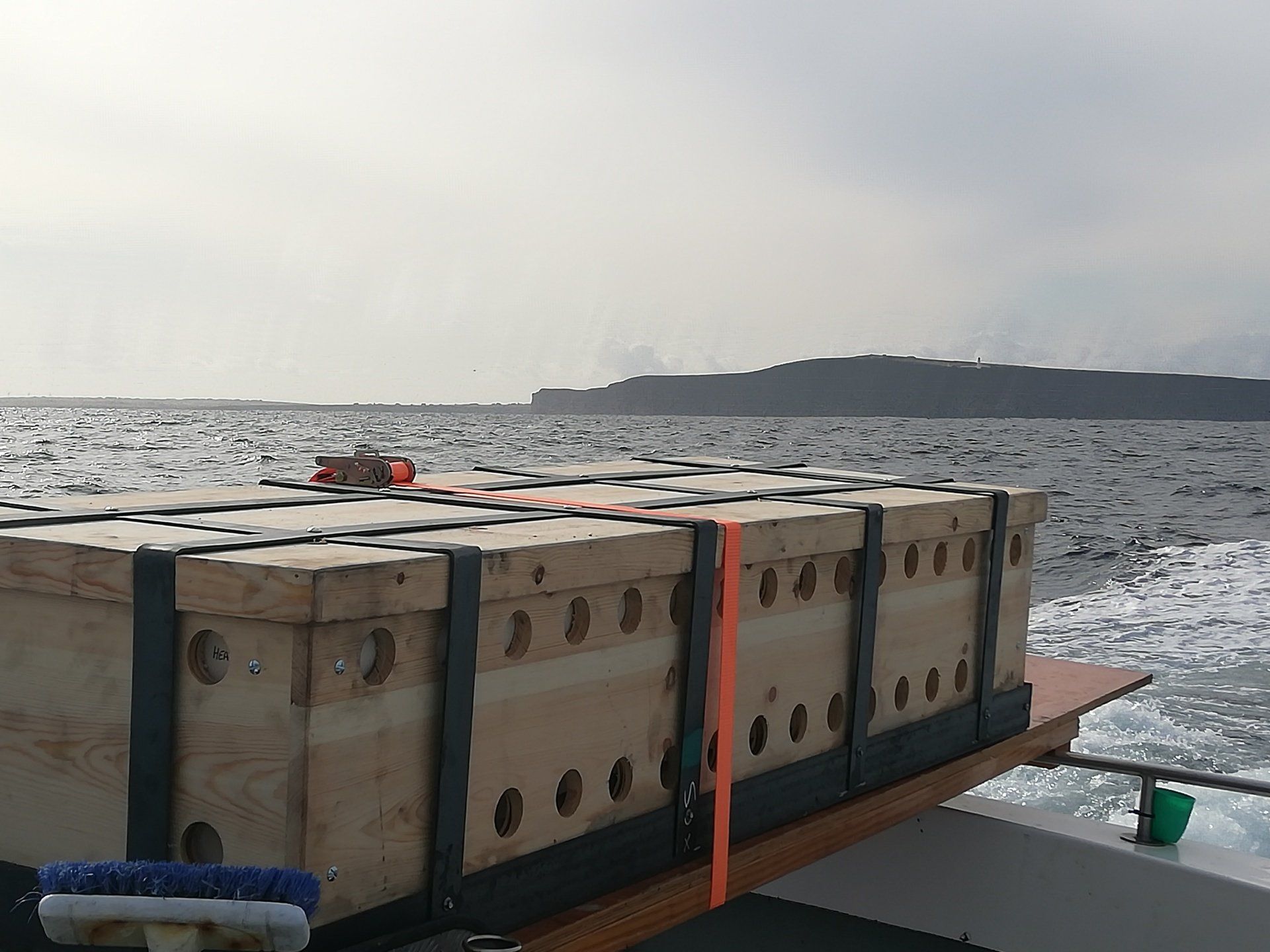 Funerals at Sea, With Burials at Sea, Ash Scattering