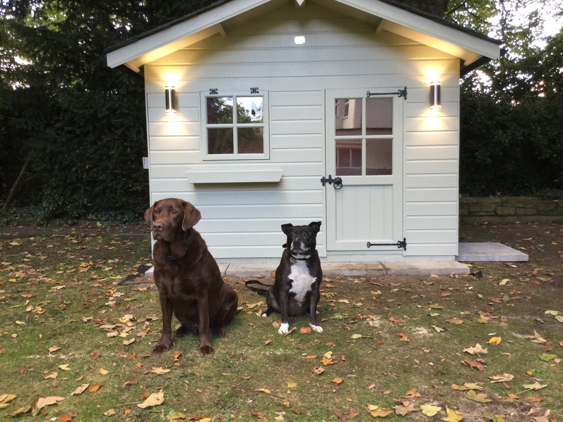 A selection of our beautiful, bespoke heated and lit dog cottages
