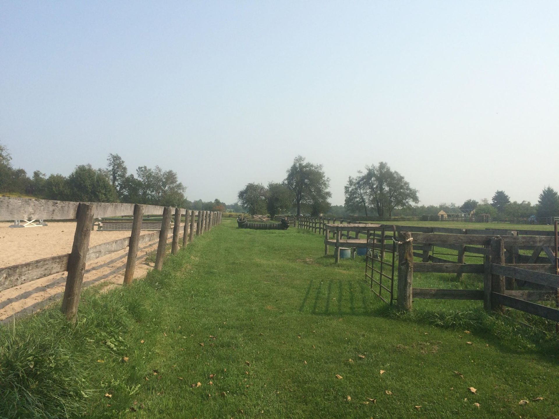 Home - Beaverwood Farm