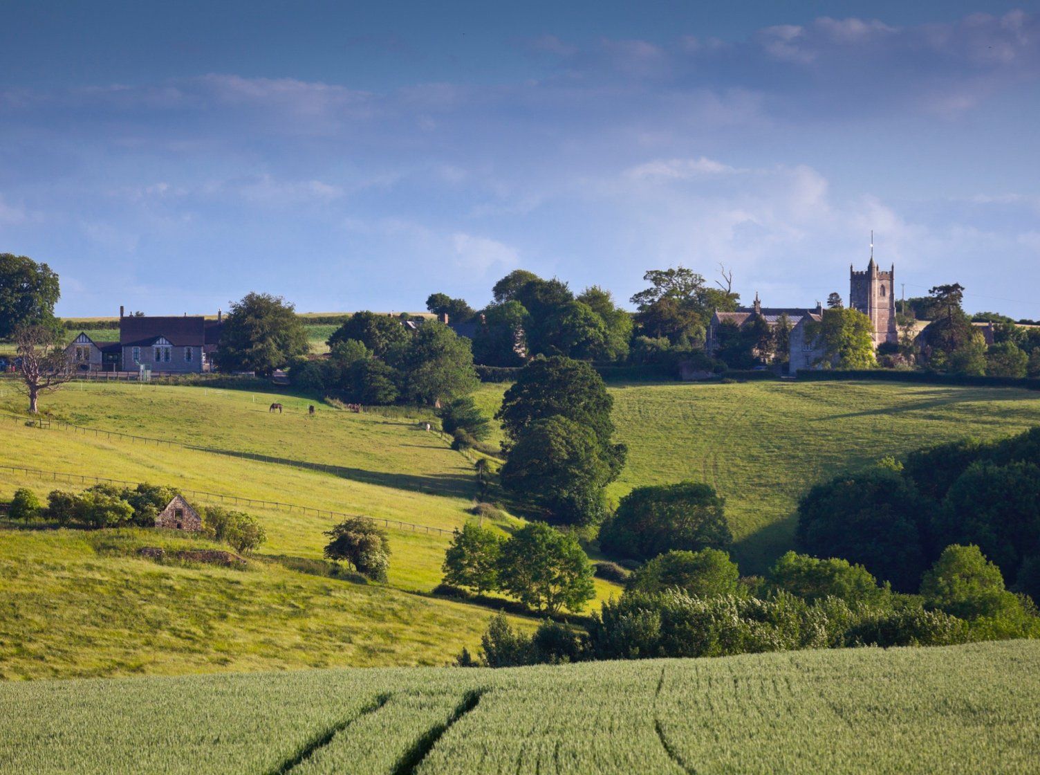 Home | Cotswold Walks