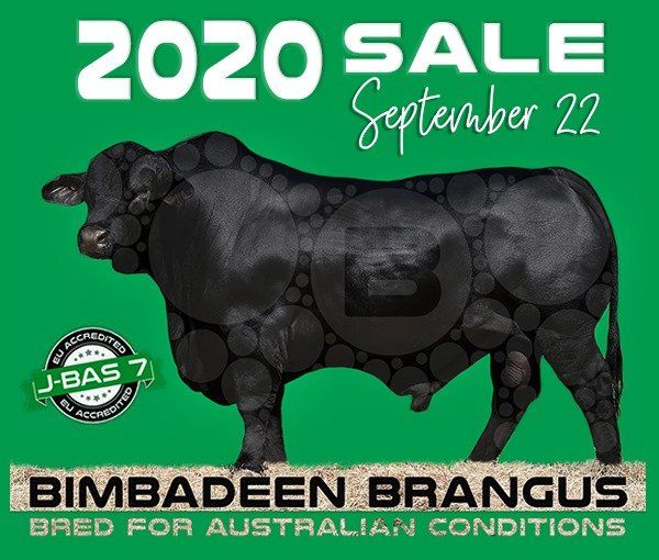 Australian Brangus Cattle Association