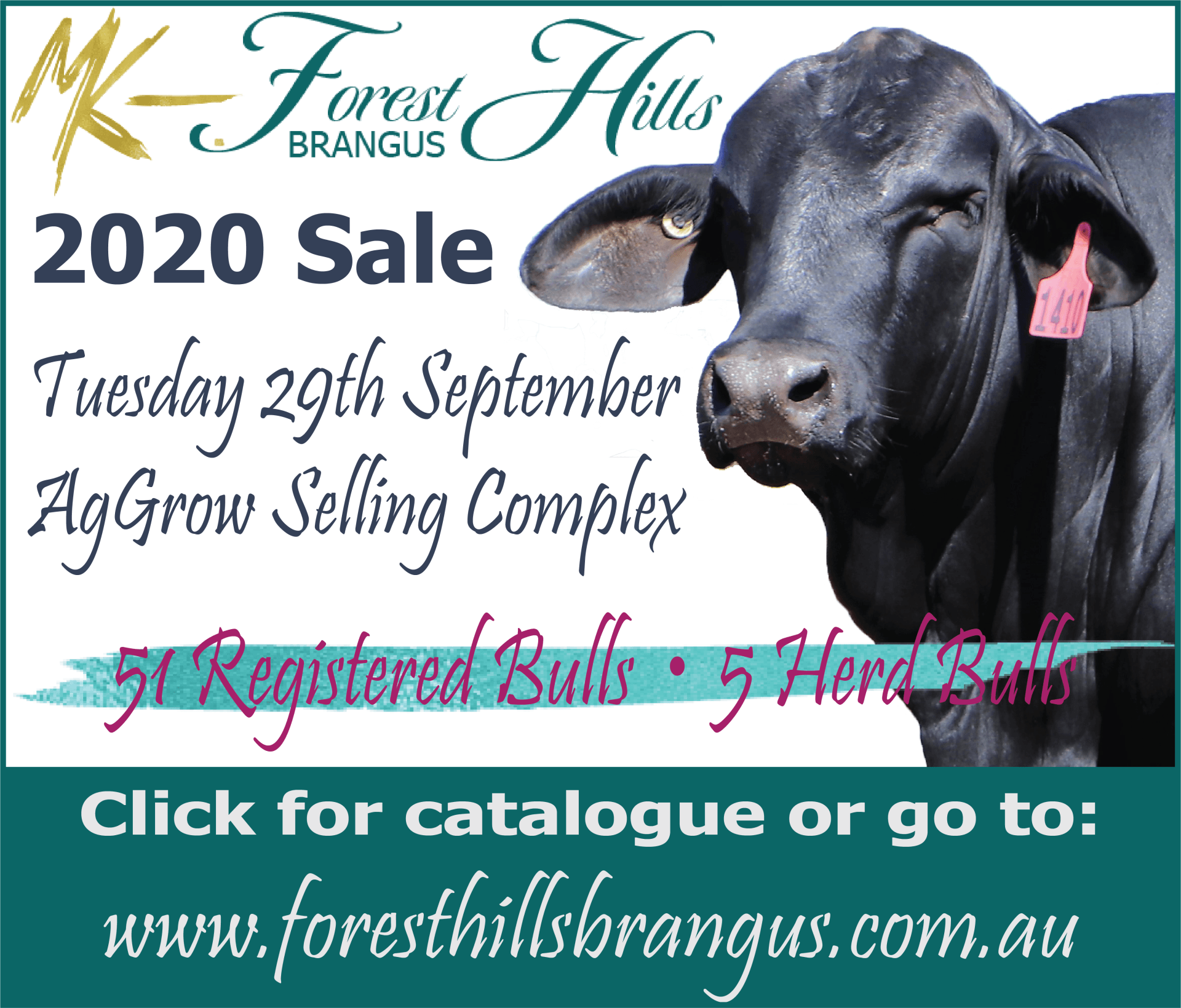 Australian Brangus Cattle Association