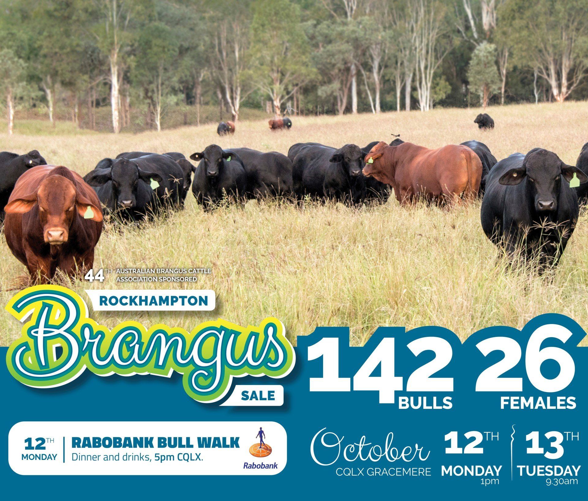 Australian Brangus Cattle Association