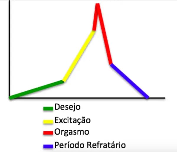 Sexualidade Como Chegar Ao Orgasmo Feminino