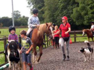 Horse training | Green Farm Riding Stables