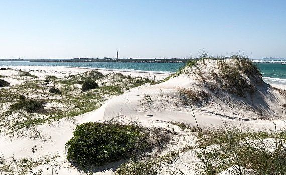 Explore the Natural Beauty of Leesburg, Florida's Flat Island Preserve