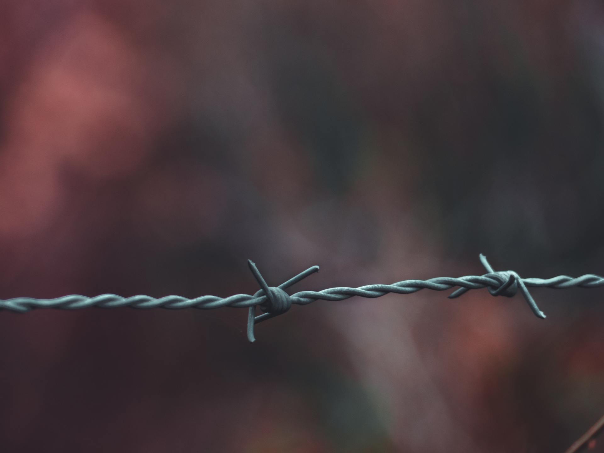 Barbed Wire Classification Made Simple